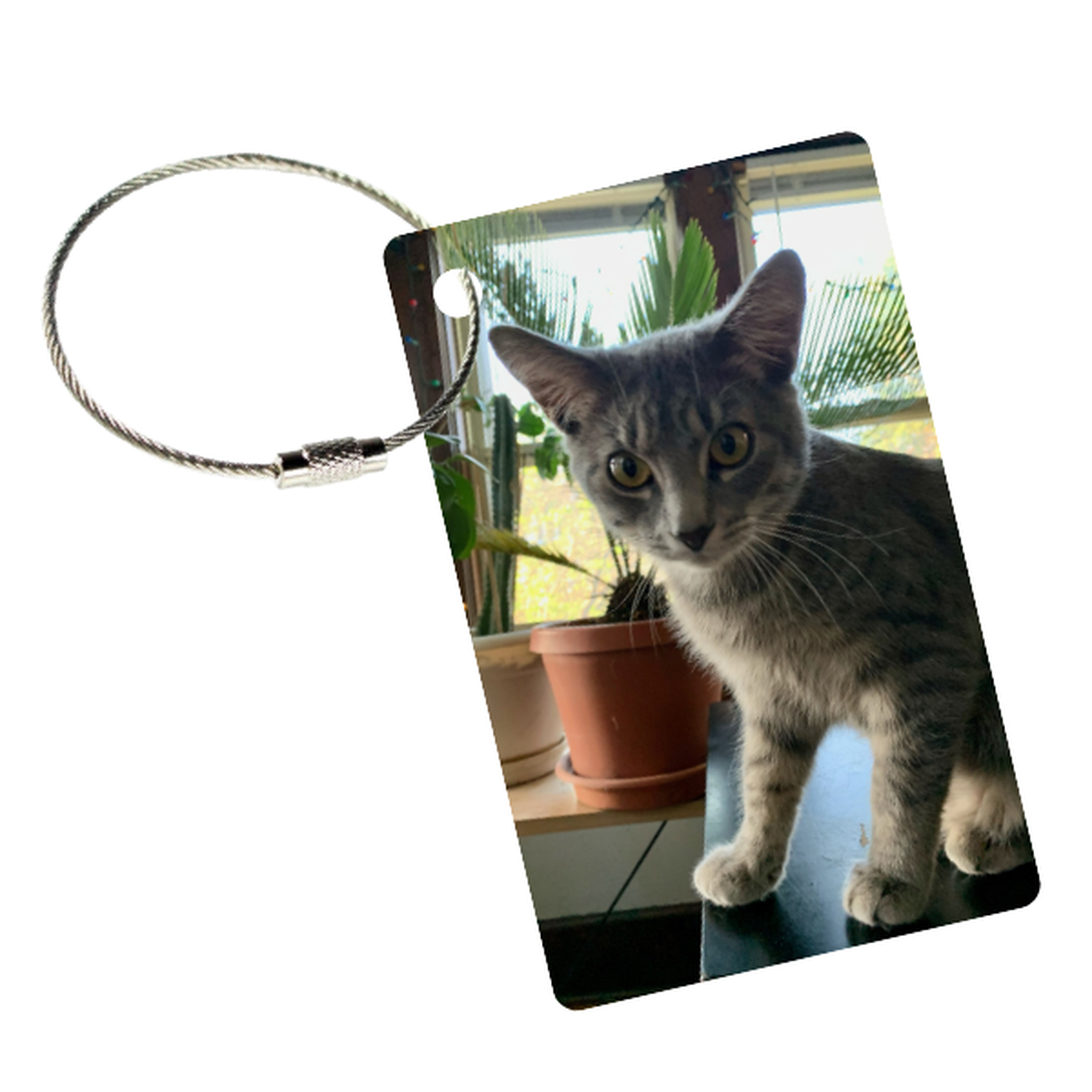 MyFly Tag Personalized Luggage Tags with Metal Loop Upgrade – Luggage Pros